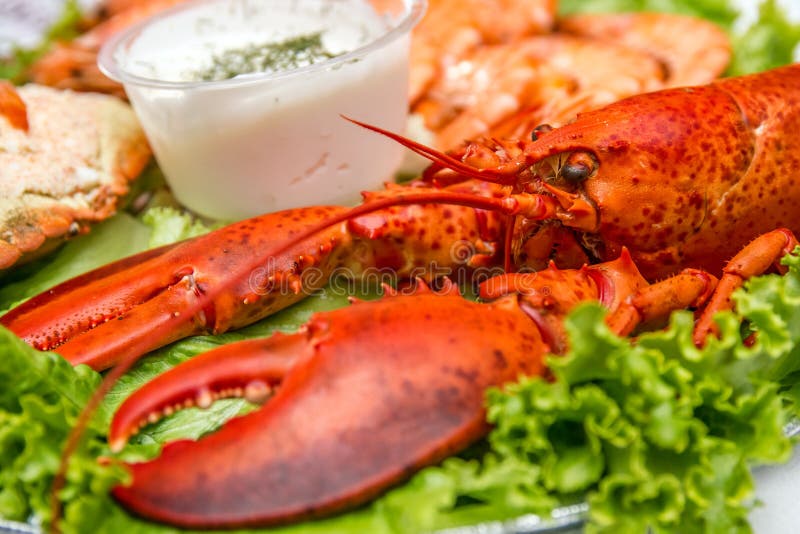 Crayfish. Creole Style Crawfish with Corn and Potato Stock Photo ...