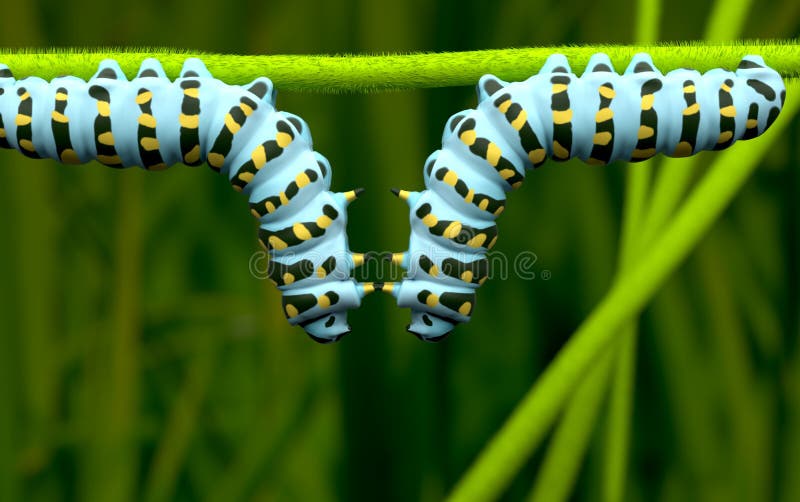 Small Love Insects 3D Rendering Stock Illustration - Illustration of ...