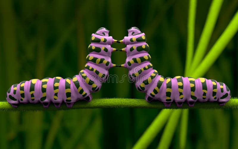 Small Love Insects 3D Rendering Stock Illustration - Illustration of ...