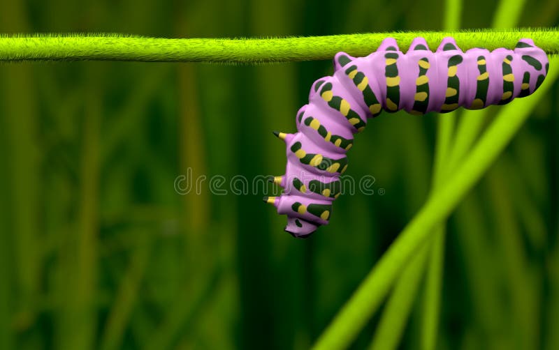 Small Love Insects 3D Rendering Stock Illustration - Illustration of ...