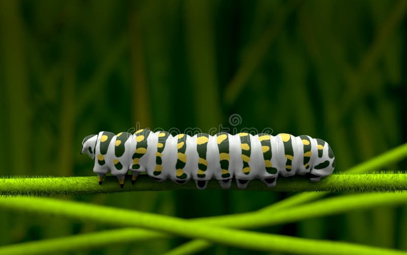 Small Love Insects 3D Rendering Stock Illustration - Illustration of ...