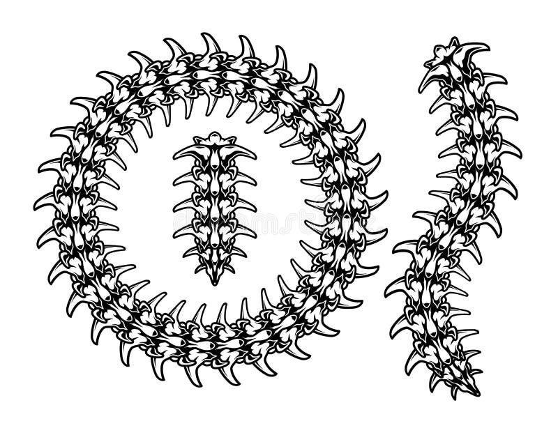 Caterpillar Skeleton Pattern Brush Stock Vector - Illustration of white ...