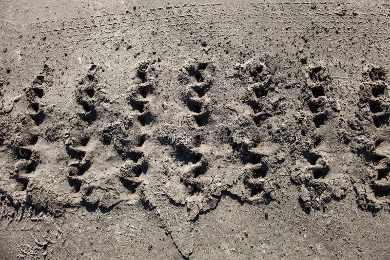 Caterpillar Tracks Traces on the Ground Stock Image - Image of ...