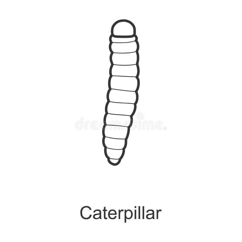 Caterpillar Vector Icon.Line Vector Icon Isolated on White Background ...
