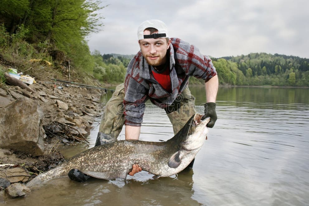 Catfish stock photo. Image of fresh, catching, mustache - 14488272