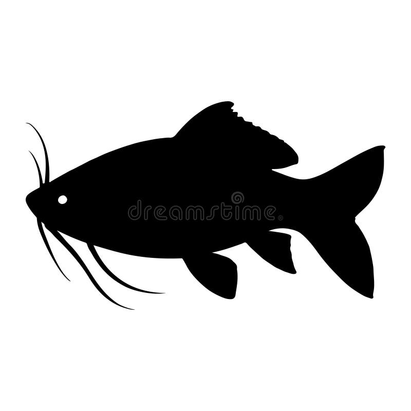 Catfish. Black and White Whiteboard Drawing Stock Illustration ...