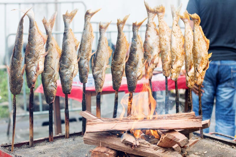 Catfish dive. stock image. Image of wood, food, person - 77130115