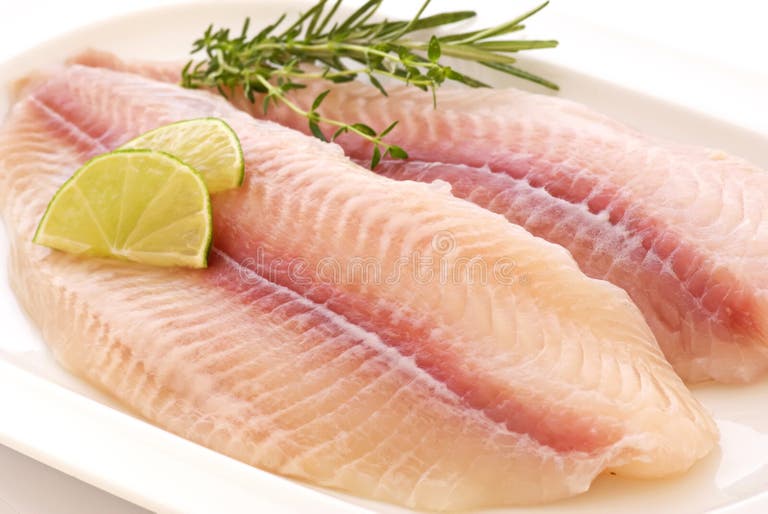 Catfish fillet stock image. Image of grill, catfish, fillet - 10525539