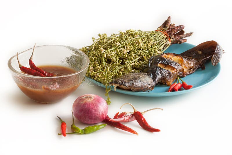 Catfish Grilled and Boiled Neem with Sweet Sauce Stock Image - Image of ...