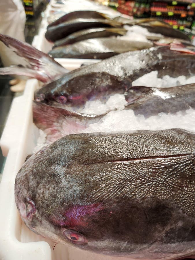 Catfish on ice stock image. Image of fish, product, meal - 349998221