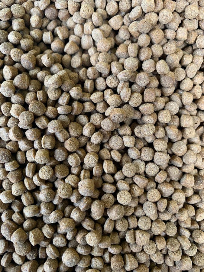 Catfish Pellet Catfish Feed Stock Photo - Image of feed, pellet: 233184318