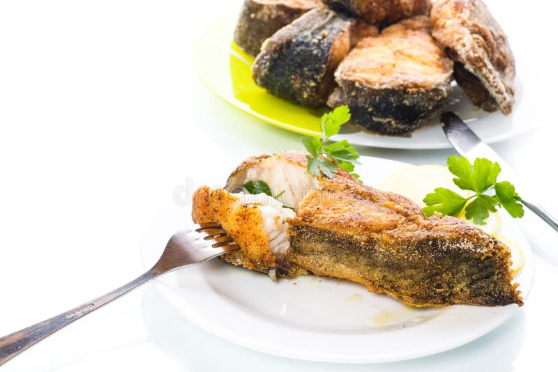 Catfish roasted in batter stock image. Image of nature - 102212147