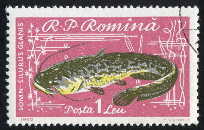 Wels Churches Romania Stock Photos - Free & Royalty-Free Stock Photos ...