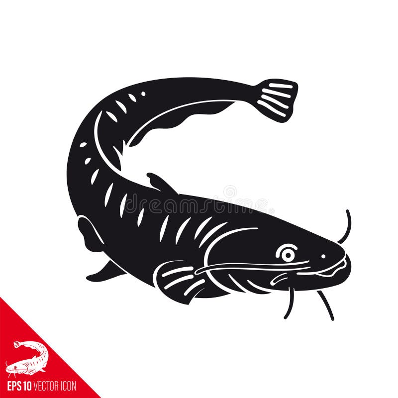 Catfish vector icon stock vector. Illustration of icon - 305904616