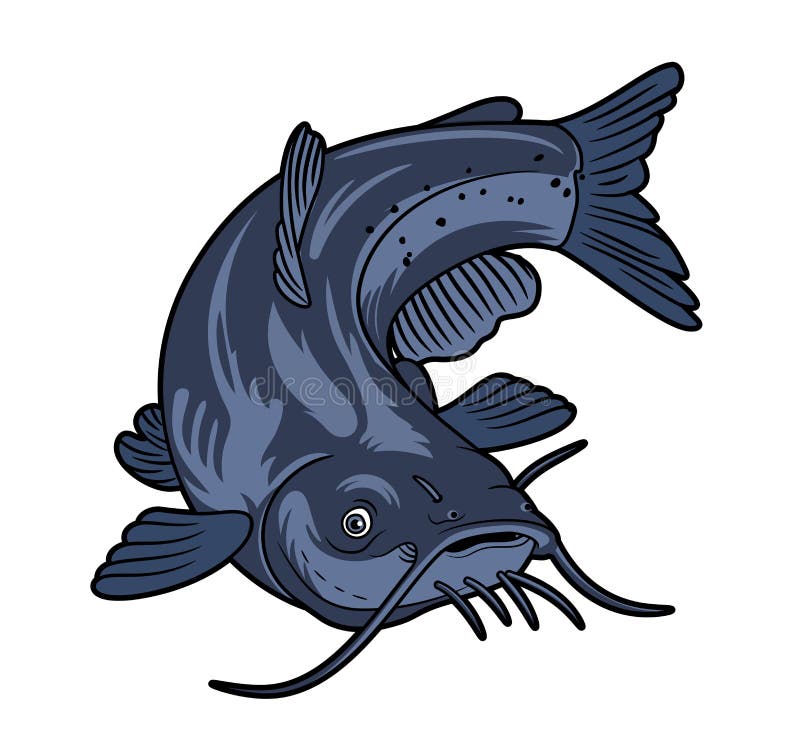 Catfish Vector Illustration, Silhouette of Fish Catfish, Catfish ...