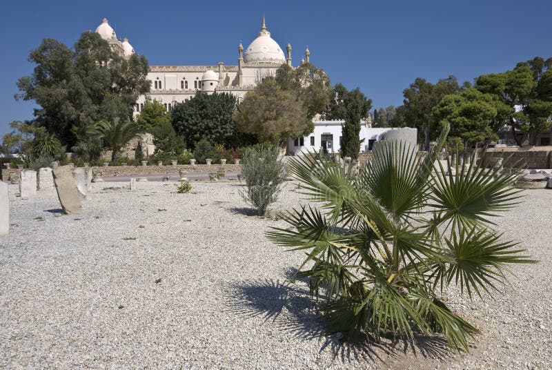 Cathédrale de Carthage photo stock. Image du vieux, arbre - 7557158
