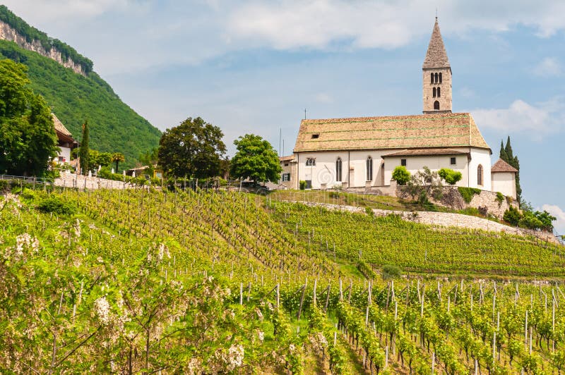 Cathedral with Limestone Steeple, Surrounded by Wine Vineyards Stock ...