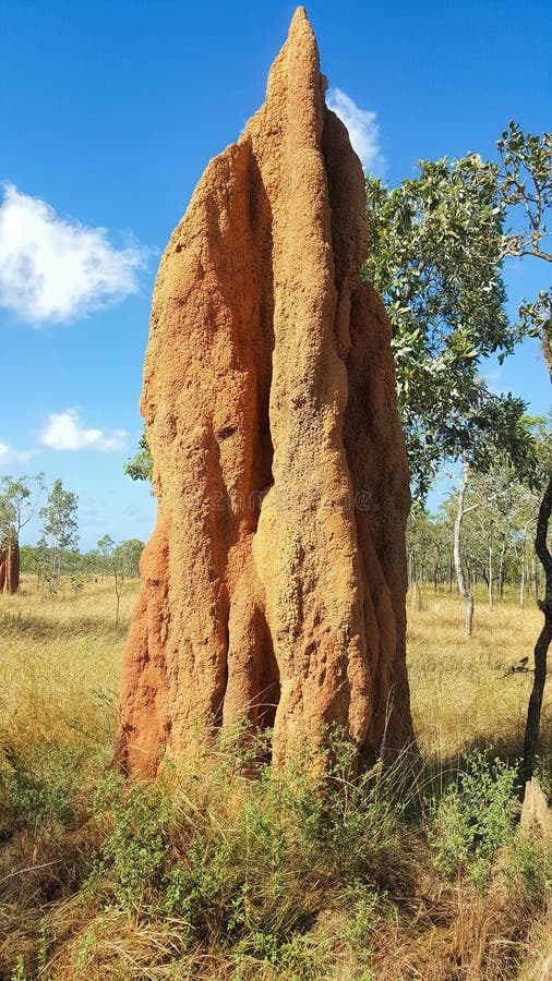 Cathedral Termite Mounds, Australia Stock Photo - Image of termitaria ...