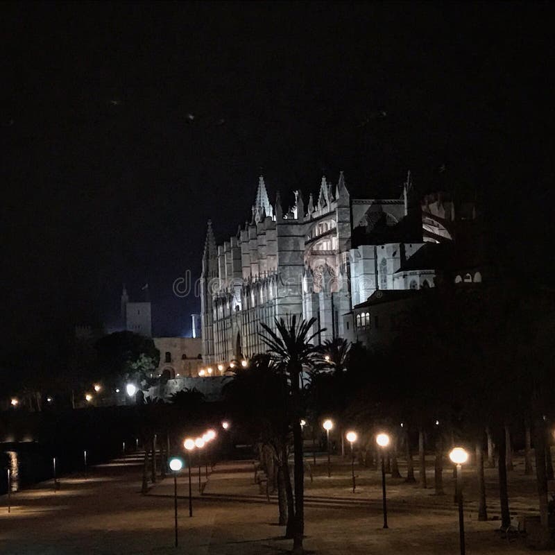 Cathedral under the stars stock image. Image of stars - 84107425