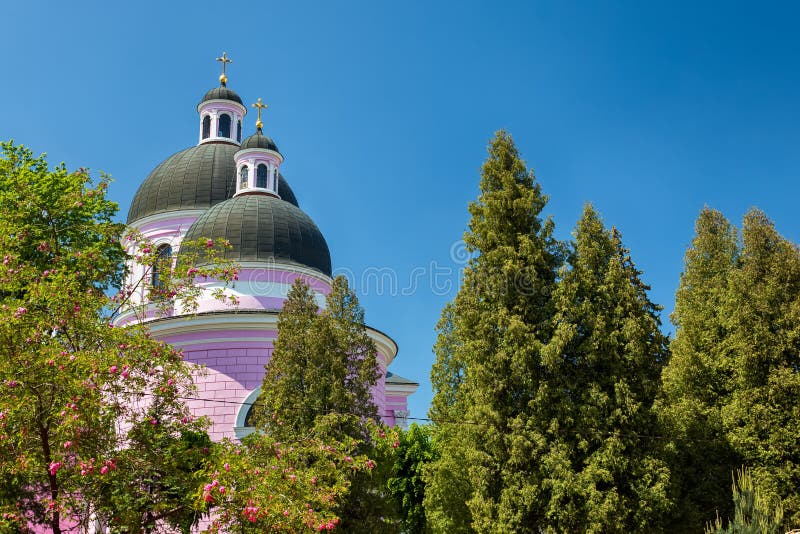 Cathedral Wrapped in Green Trees Stock Image - Image of cathedral ...