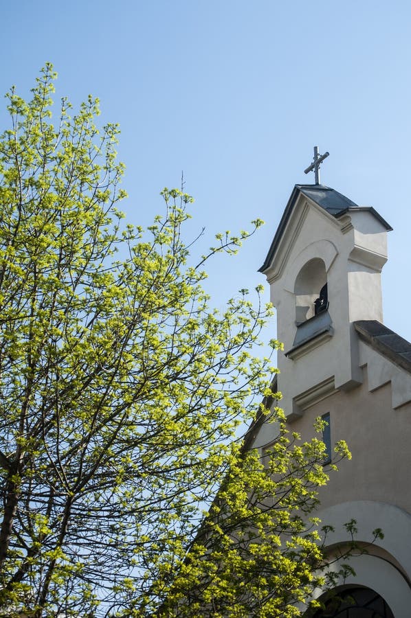 Catholic Church and Blossomed Tree Stock Image - Image of green ...