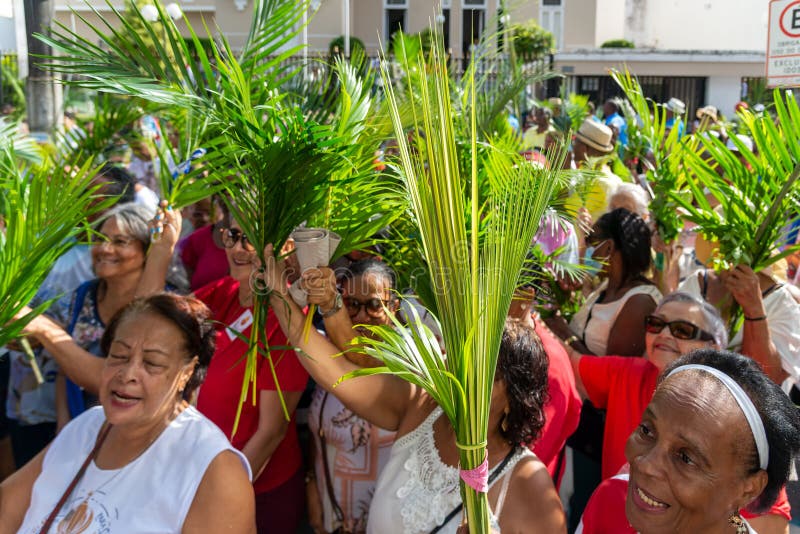 Catholic Worshipers Hold Palm Branches for Palm Sunday Mass Editorial ... Catholic Worshipers Hold Palm Branches for Palm Sunday Mass Editorial ...
