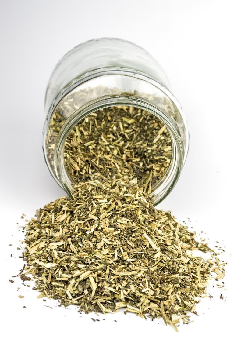 1,930 Catmint Stock Photos - Free & Royalty-Free Stock Photos from ...