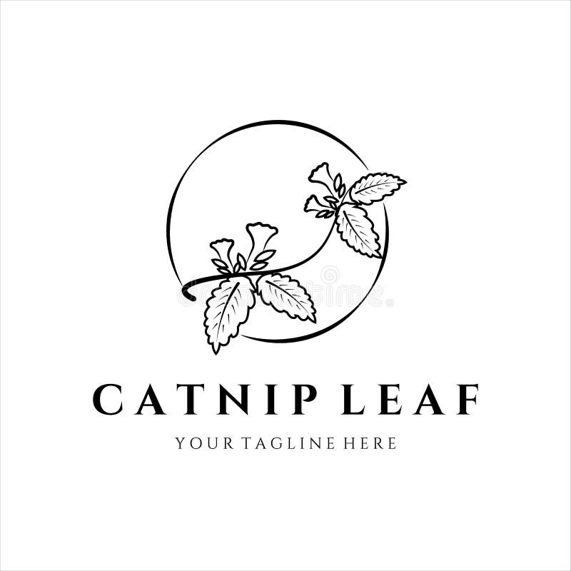 Catnip Garden Stock Illustrations – 38 Catnip Garden Stock ...