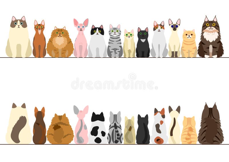 Cats Border Set Stock Vector Illustration Of Multiple 81873313
