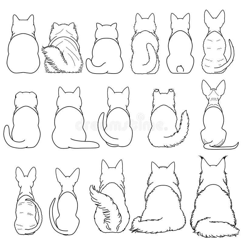 Cats breed line art bundle stock image. Illustration of design - 222134503