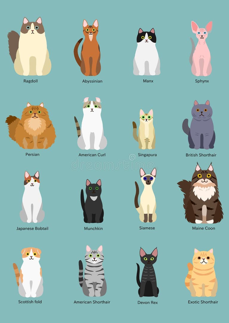 Cute Cats Breed Stock Illustrations – 4,374 Cute Cats Breed Stock ...