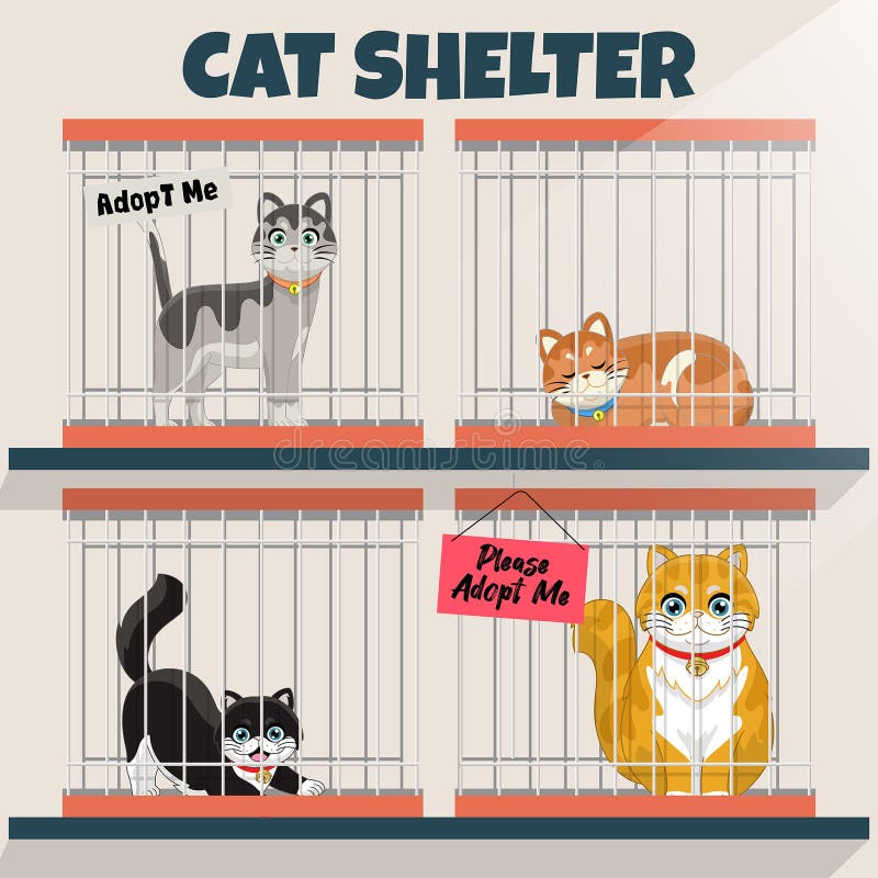 Shelter for Cats, Happy Boy Taking Pet from Cage. Stock Vector ...