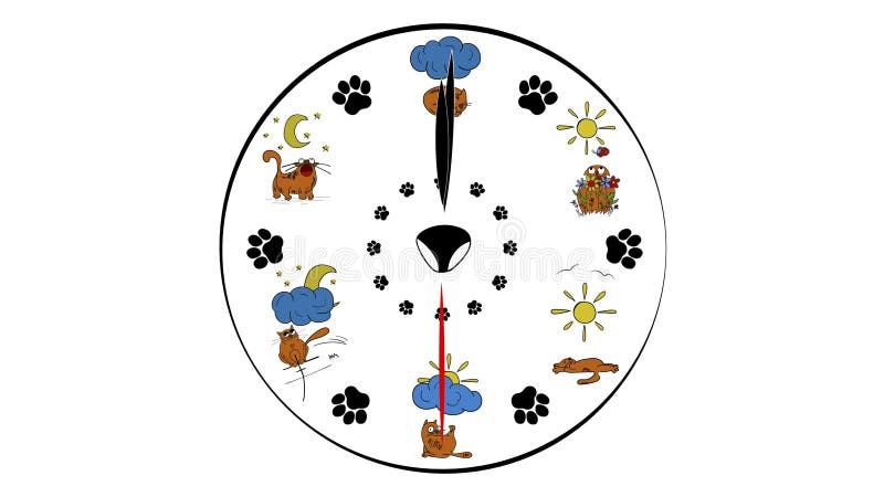 Cats Clock Face Background. One Hour in One Minute Stock Video - Video ...