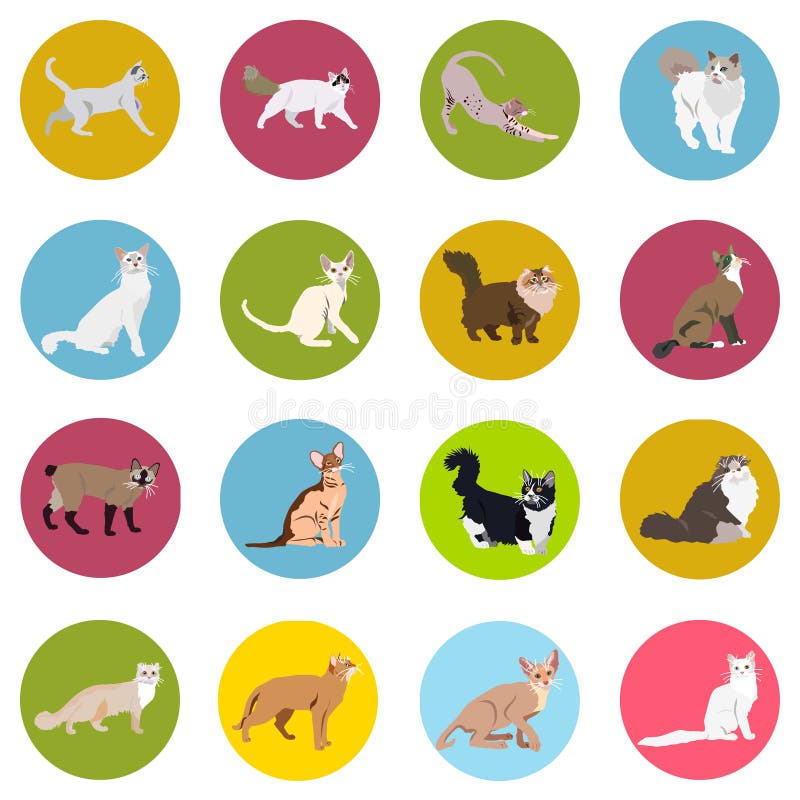Cats of Different Breeds. Icons. Vector Image in a Flat Style ...