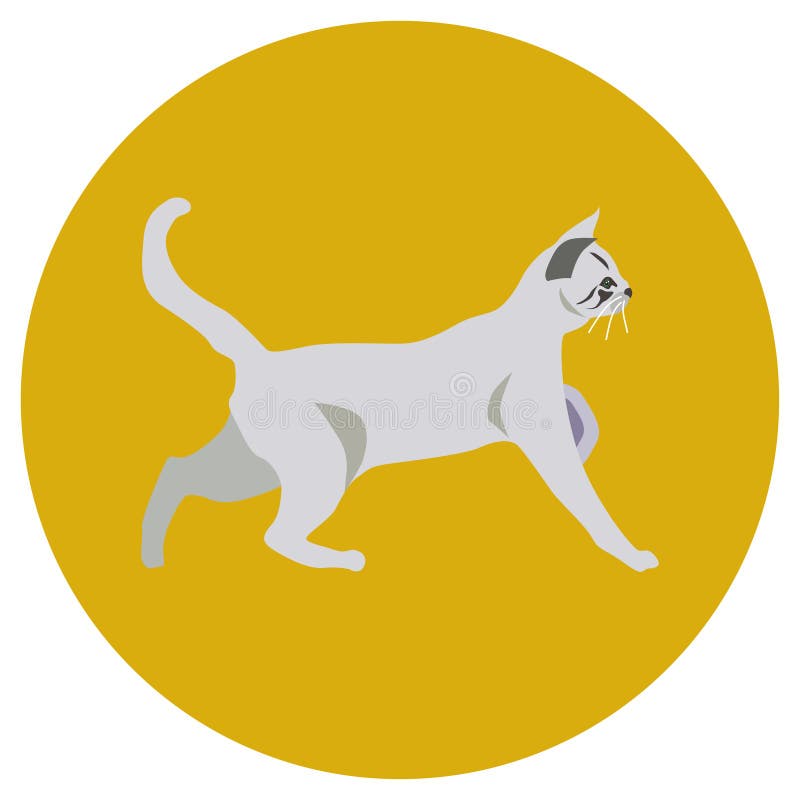 Cats of Different Breeds. Icons. Vector Image in a Flat Style ...