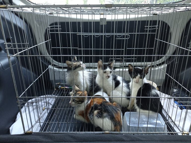 Looks Con Stock Photos - Free & Royalty-Free Stock Photos from Dreamstime