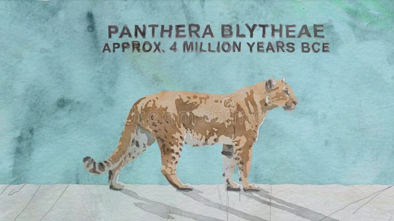 Cats Evolution Timeline in Watercolor Painting Style Stock Footage ...