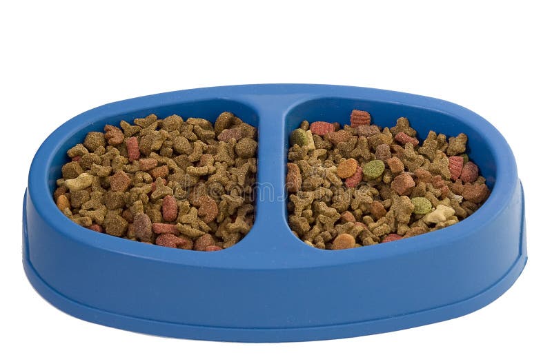 Cats food stock image. Image of canine, kibble, shapes - 13349527