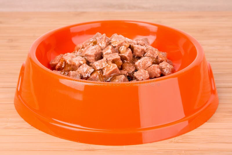 Cats food on wooden stock image. Image of bowl, feed - 19802347