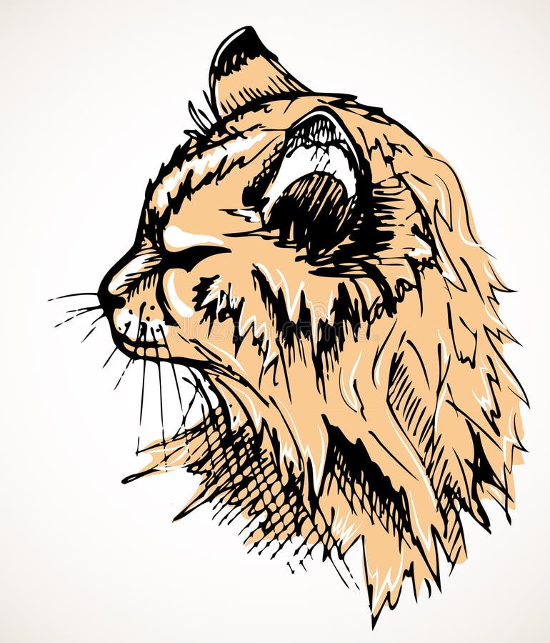 Cats head profile stock illustration. Illustration of antique - 25686076