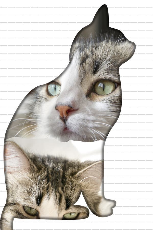 Cats inside a cat. stock illustration. Illustration of pose - 167884621