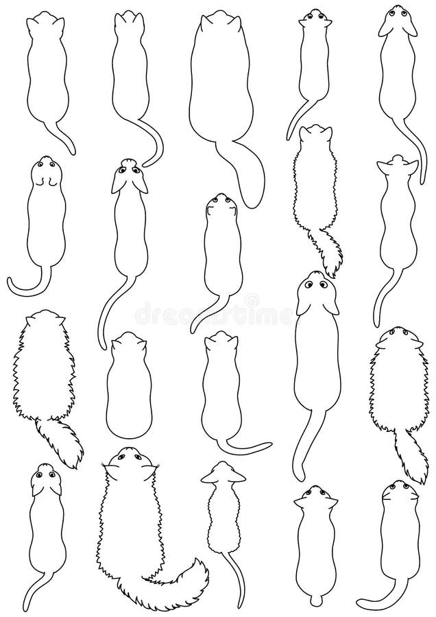 Cats line art top view set stock vector. Illustration of breeds - 139139625