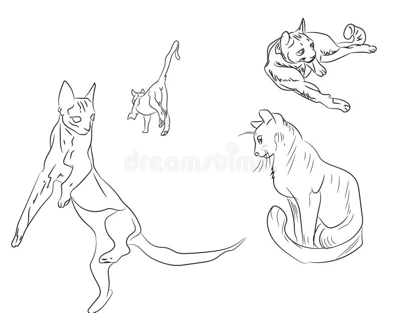 Cat lines, vector stock vector. Illustration of cats - 113475437
