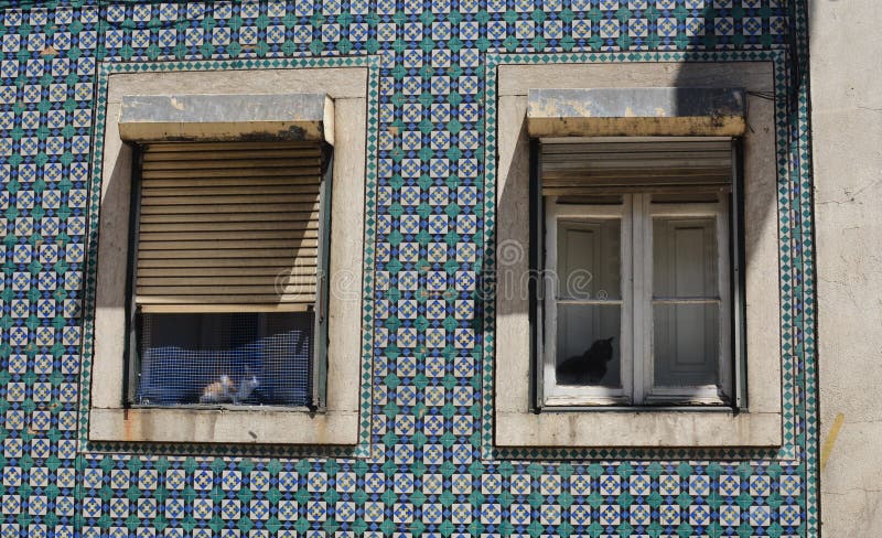 Lisbon windows stock image. Image of azulejo, detail - 19291267