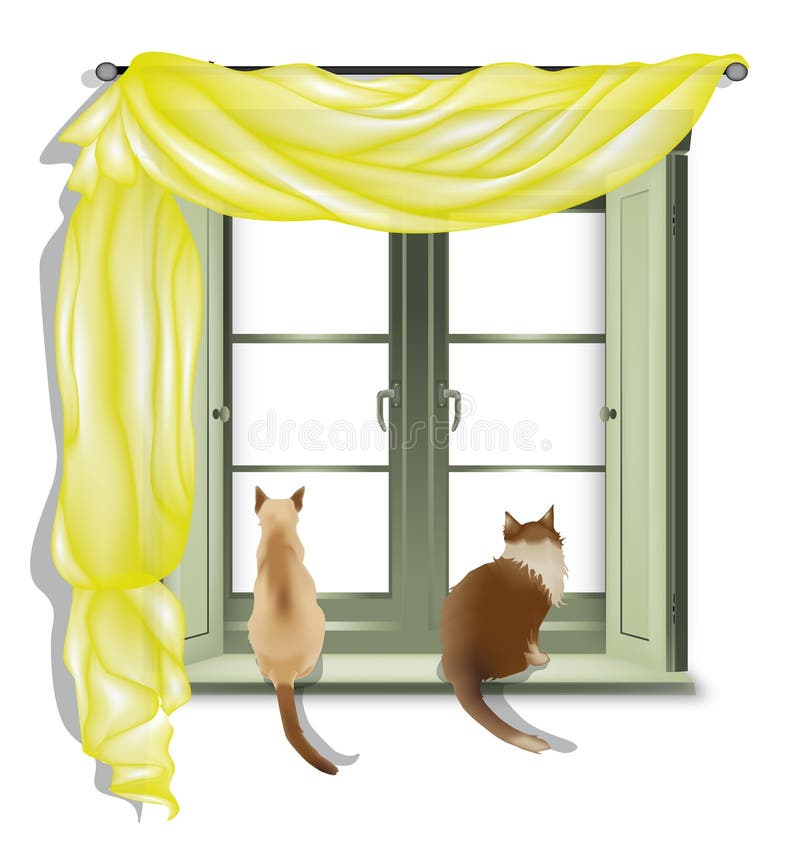 Cat looking out the window stock image. Image of outdoors - 49203743