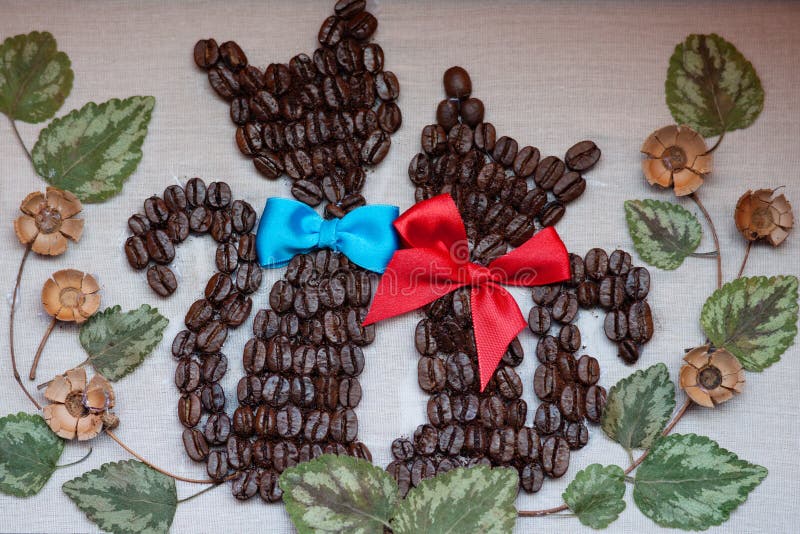 Cats Made from Coffee Beans Stock Photo - Image of sign, feline: 87779060