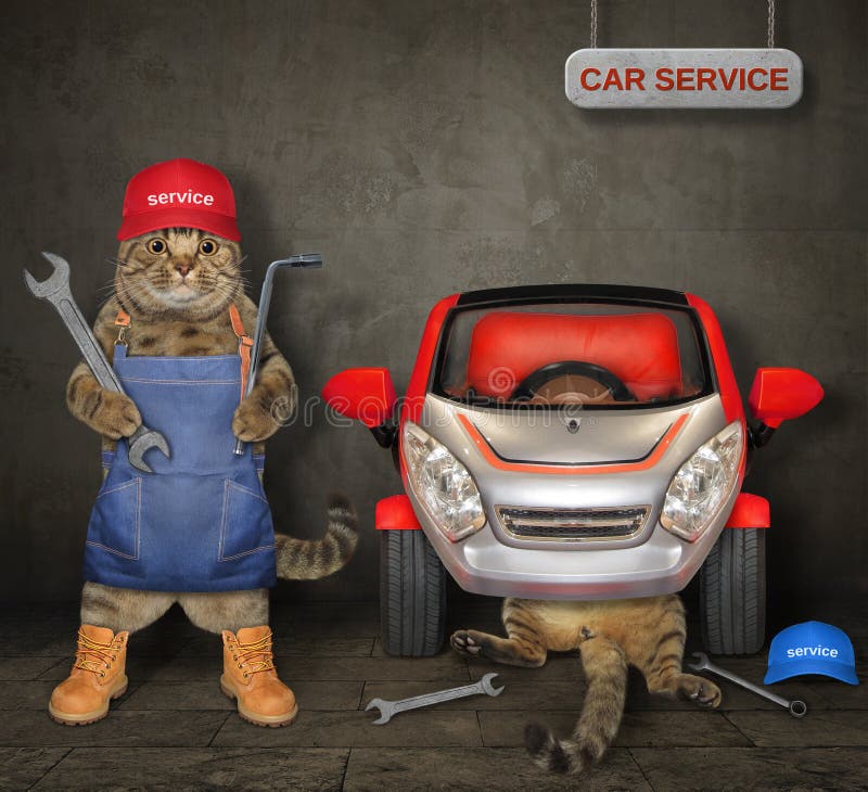 Cats Mechanics Fixing Car in Garage Stock Image - Image of uniform ...