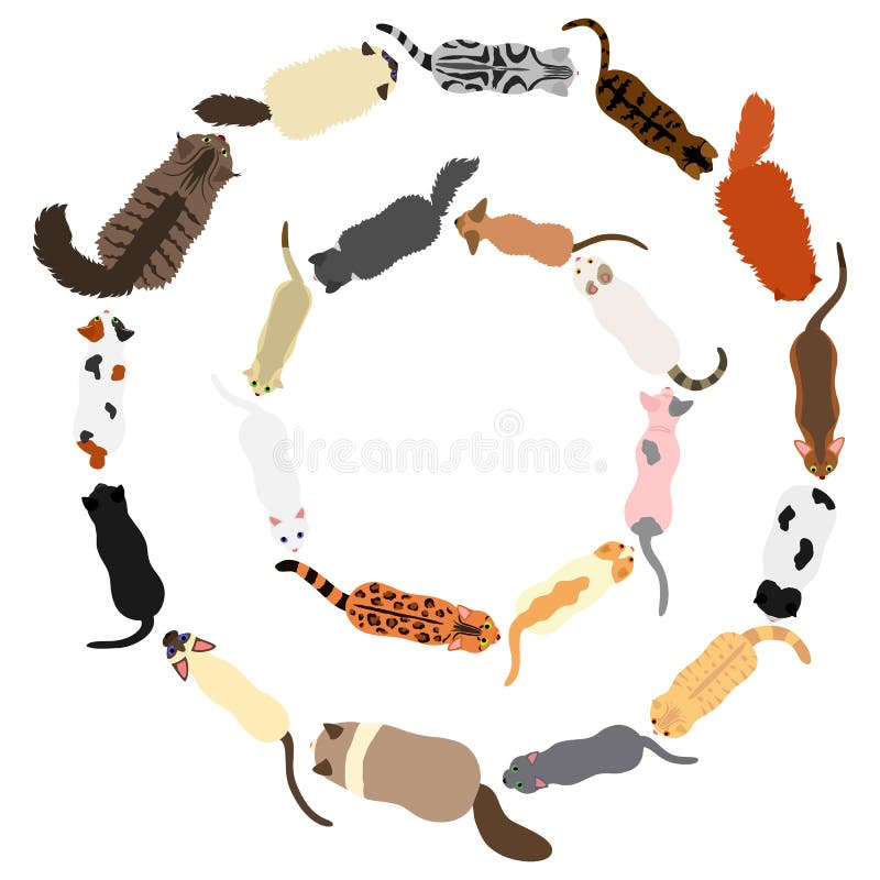 Cats in round frame design stock vector. Illustration of cartoon ...