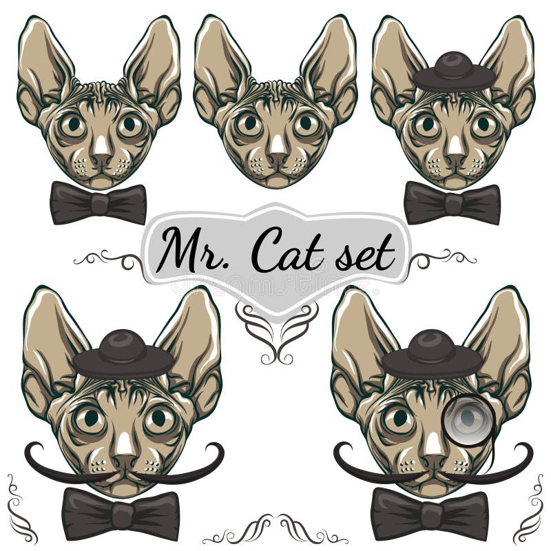 Cats set. Gentleman. stock vector. Illustration of collection - 102923018