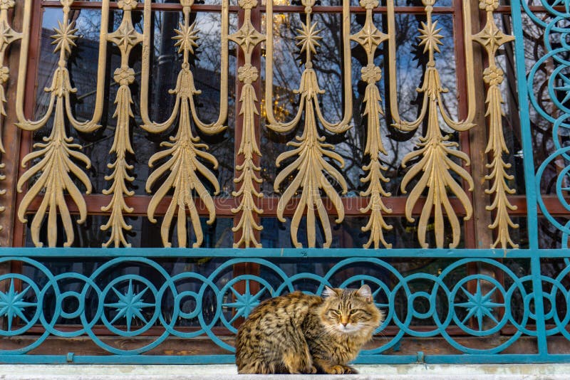 Cats Sitting in Front of a Mosque Stock Photo - Image of cats ...